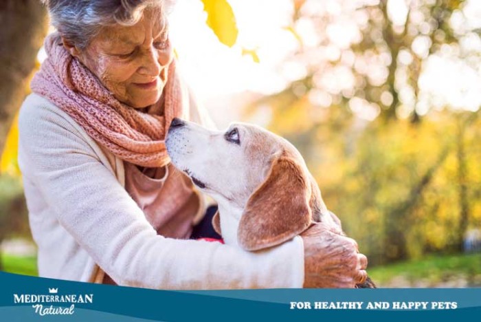 Mediterranean natural | Qué debo hacer si mi perro o gato fallece Mediterranean natural | Qué debo hacer si mi perro o gato fallece